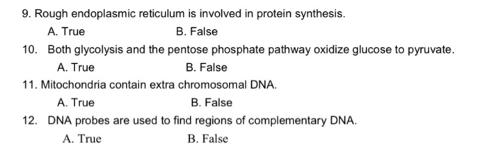Solved 9. Rough endoplasmic reticulum is involved in protein | Chegg.com