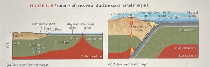 Solved EXERCISE 14.4 Recognizing the Differences between | Chegg.com
