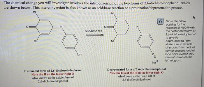 Solved The chemical change you will investigate involves the | Chegg.com
