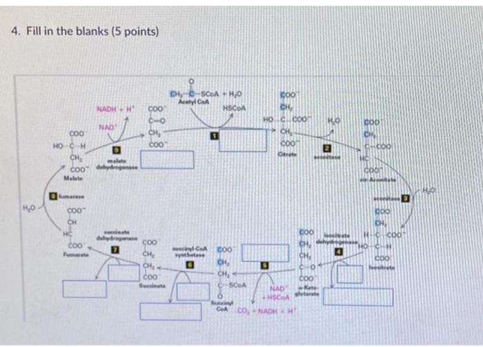 Solved 4. Fill in the blanks ( 5 points) | Chegg.com