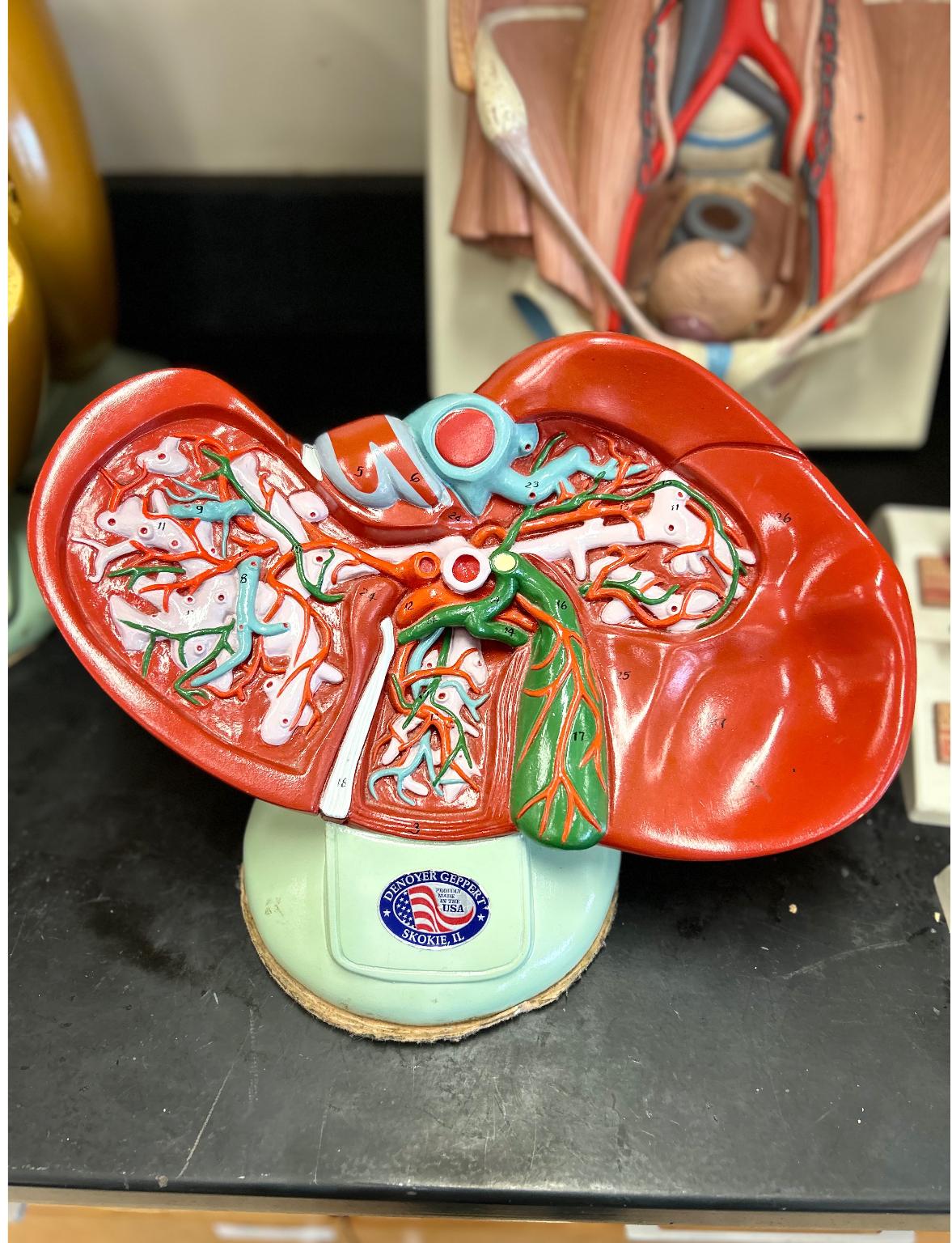 Solved Please label | Chegg.com