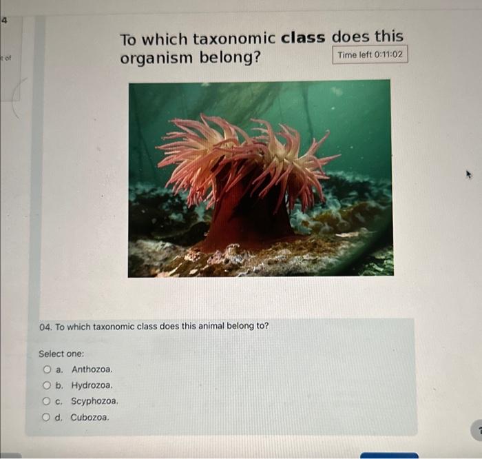 Solved To which order do these animals belong? 14. To which | Chegg.com
