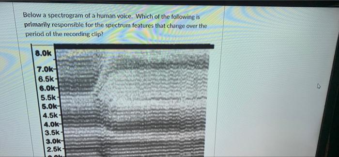 Solved Below a spectrogram of a human voice. Which of the | Chegg.com