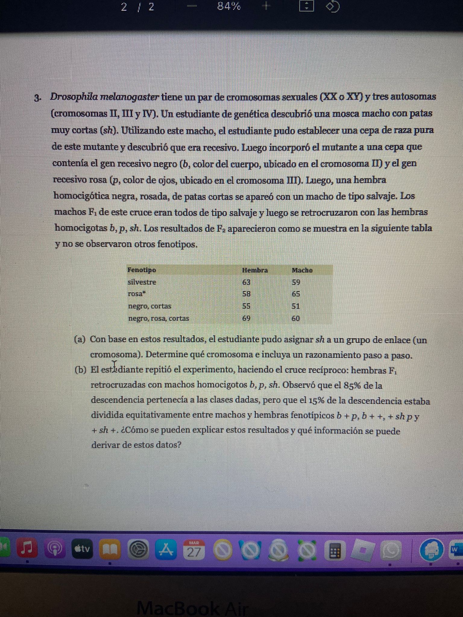Drosophila molanogaster tiene un par de cromosomas | Chegg.com