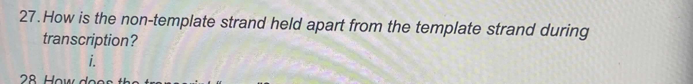 Solved How is the non-template strand held apart from the | Chegg.com