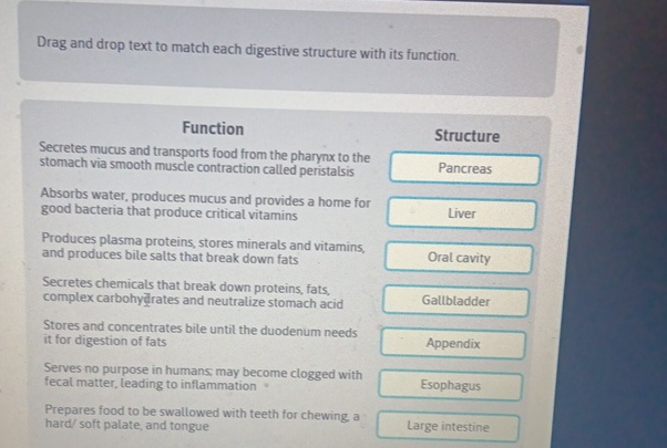 Drag and drop text to match each digestive structure | Chegg.com
