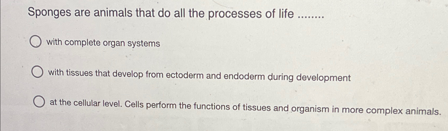 Solved Sponges are animals that do all the processes of | Chegg.com