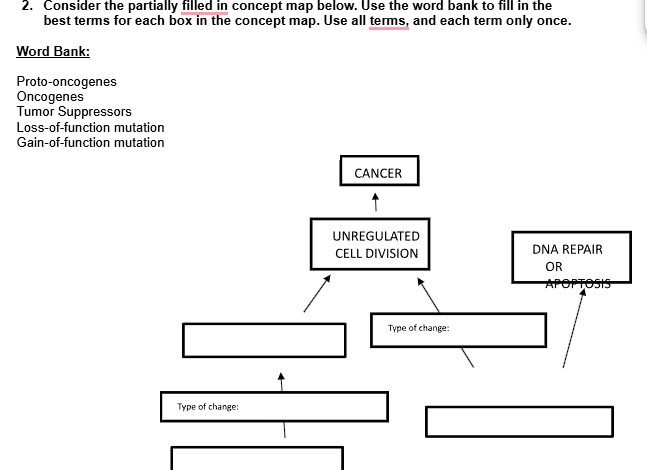 Solved by an EXPERT 2. ﻿Consider the partially filled in concept map | Chegg.com