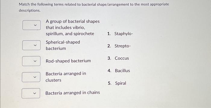 Solved Match the following terms related to bacterial | Chegg.com