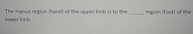 Solved The manus region (hand) ﻿of the upper limb is to the | Chegg.com
