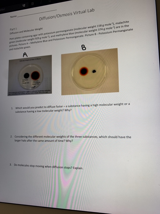 Solved 12 Name Diffusion/Osmosis Virtual Lab Part: Diffusion | Chegg.com