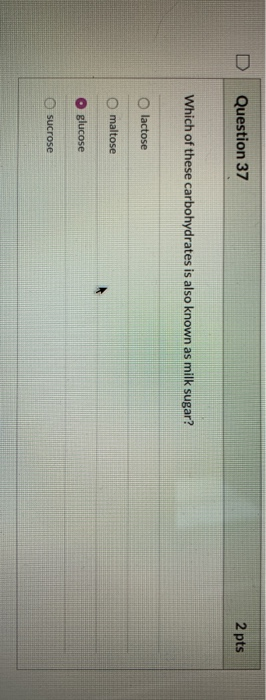 Solved Question 2 2 pts Which of the following is not an | Chegg.com