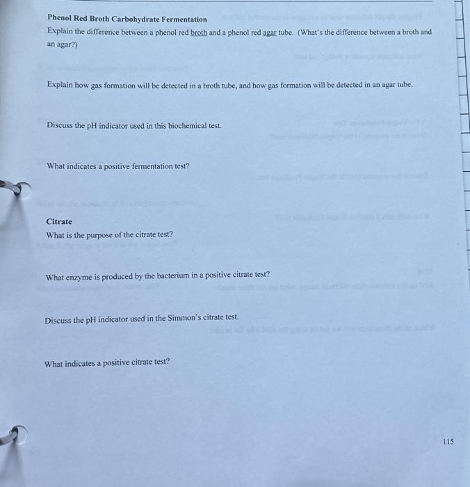 Solved What indicates a positive metbyl red test? | Chegg.com