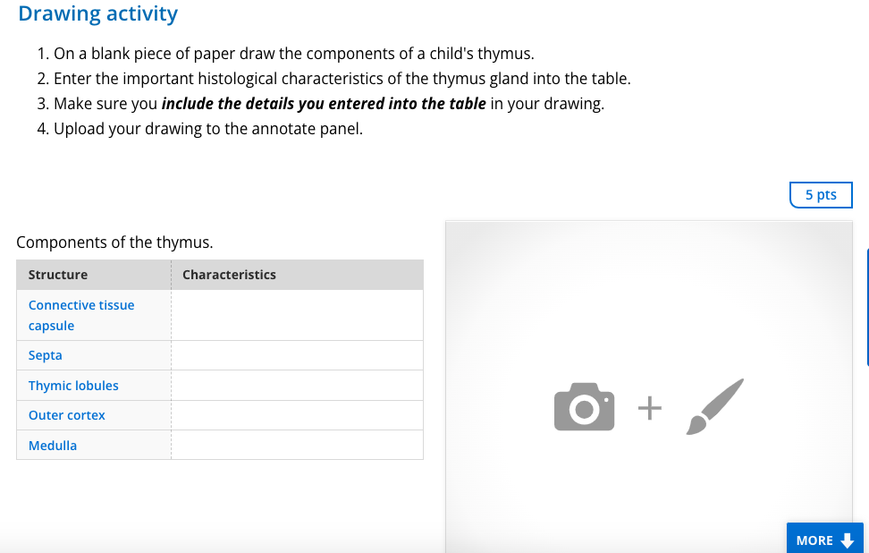 Solved Drawing activityOn a blank piece of paper draw the | Chegg.com