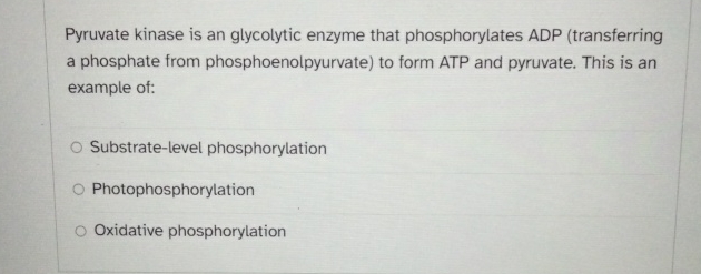 Solved Pyruvate Kinase Is An Glycolytic Enzyme That