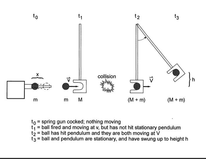 Solved 2) Was the collision between the ball and pendulum | Chegg.com