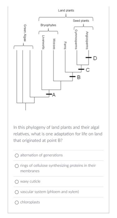 Solved The SAR clade contains all of the following organisms | Chegg.com