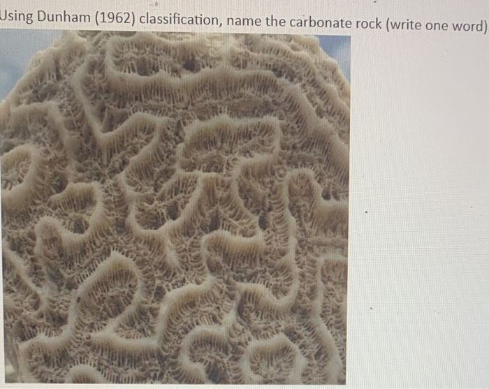 Solved Using Dunham (1962) classification, name the | Chegg.com