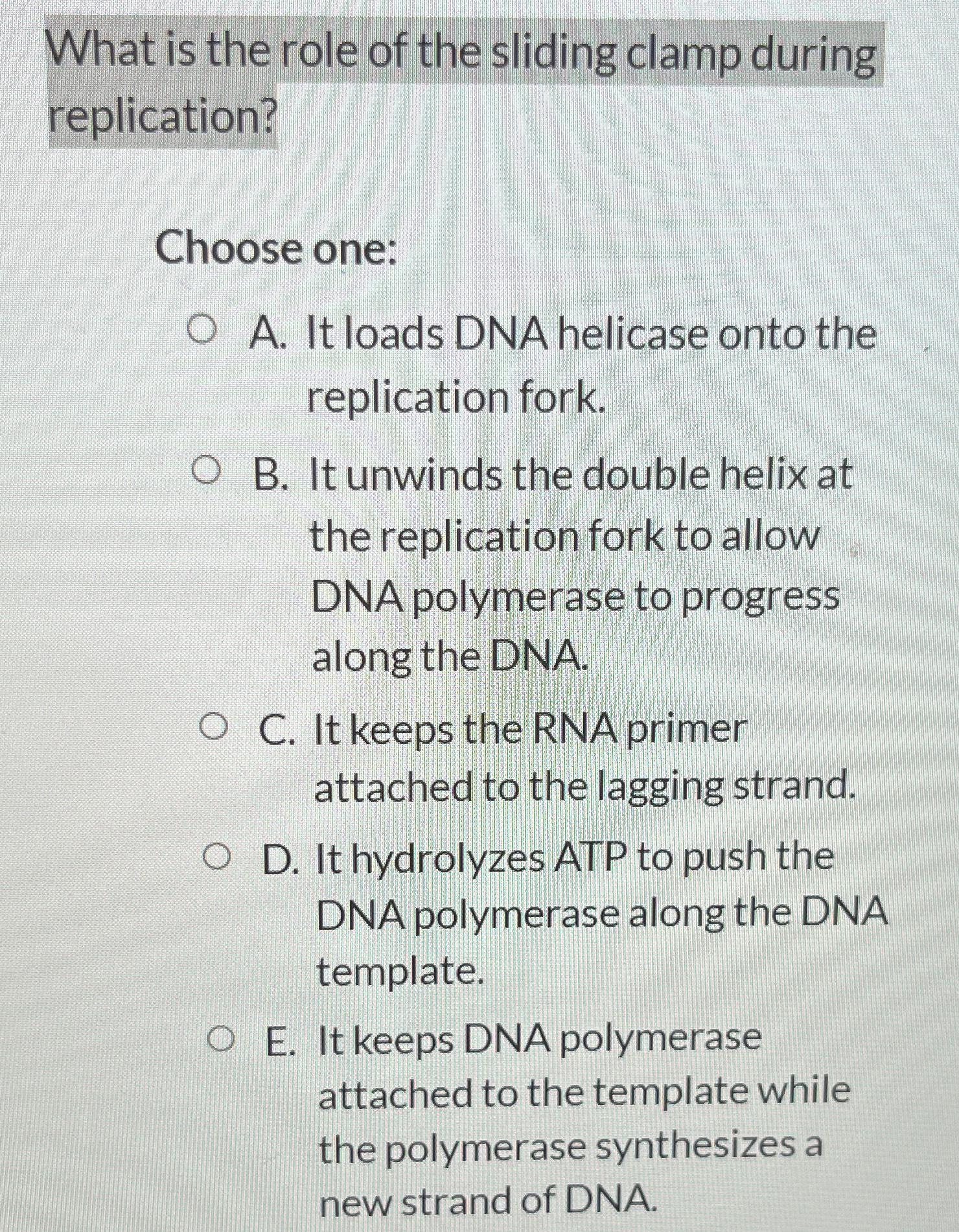 Solved What is the role of the sliding clamp during | Chegg.com