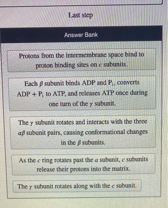 Solved ATP synthase, shown in the image, uses the proton | Chegg.com