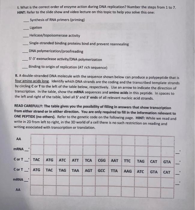 Solved If the bottom strand is transcribed from left to | Chegg.com