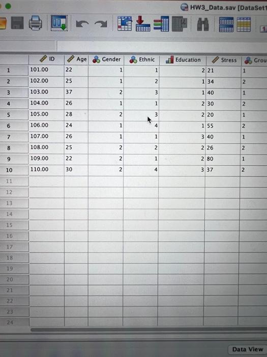 HW3_Data.sav [DataSet1 Data ViewAssignment: You are | Chegg.com
