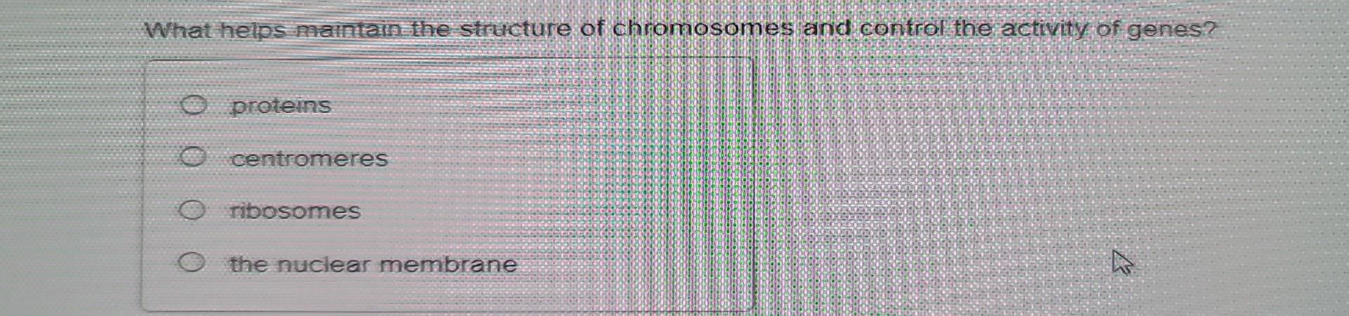 Solved What helps raintain the structure of chromosomes and | Chegg.com