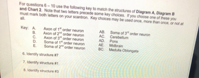Solved For questions 6 - 10 use the following key to match | Chegg.com