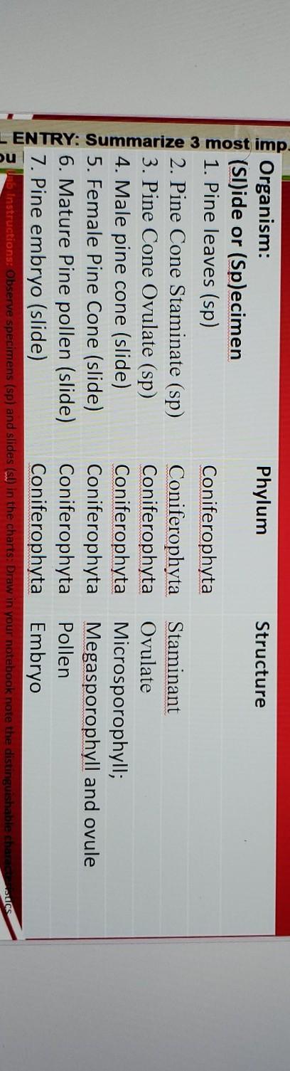 Solved ENTRY: Summarize 3 most imp. Organism: Phylum | Chegg.com