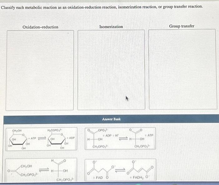 Solved Classify each metabolic reaction as an | Chegg.com