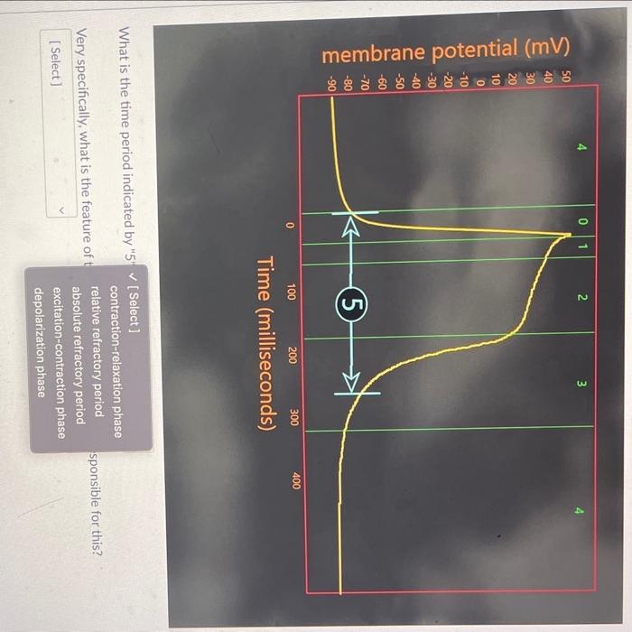 Solved Time (milliseconds) What is the time period indicated | Chegg.com