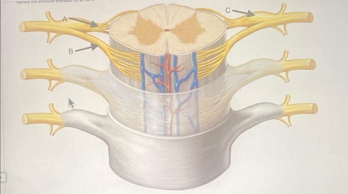 Solved Soort terrency 00 | Chegg.com
