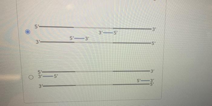 Solved Consider the double-stranded DNA molecule. below. Tha | Chegg.com