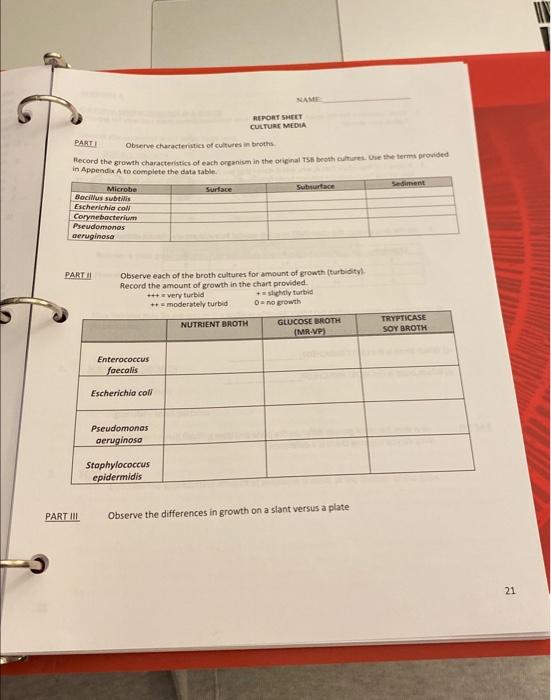 Solved PARTI Observe characternicici of cultures in broths | Chegg.com