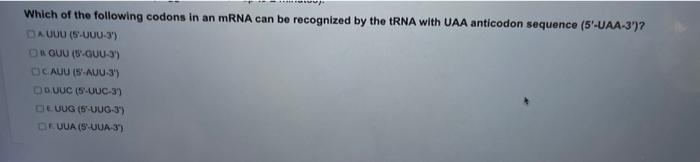 Solved Which of the following codons in an mRNA can be | Chegg.com