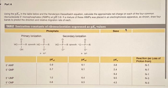 Solved Using the pKa in the table below and the | Chegg.com