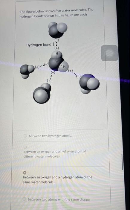 Solved Antibiotics would be MOST effective against which of | Chegg.com