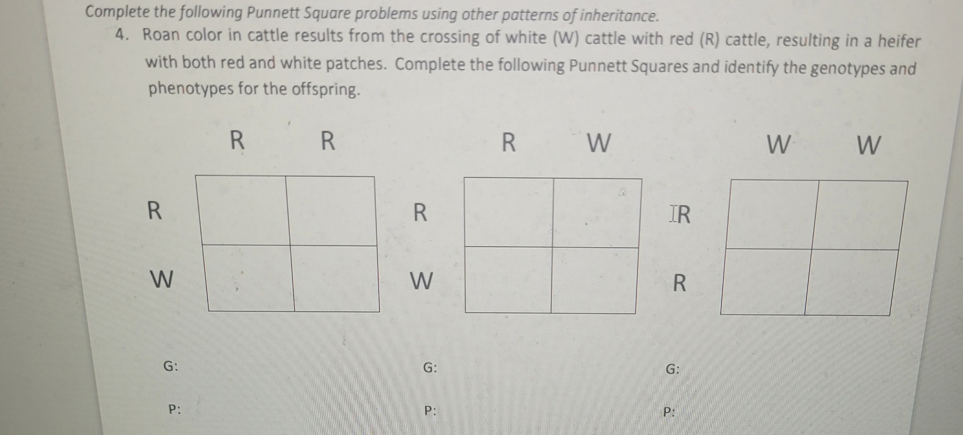 Solved Complete the following Punnett Square problems using | Chegg.com