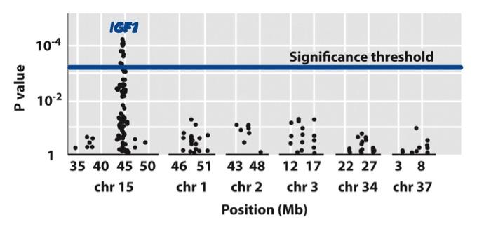 Solved The graph shown below shows the results of a | Chegg.com