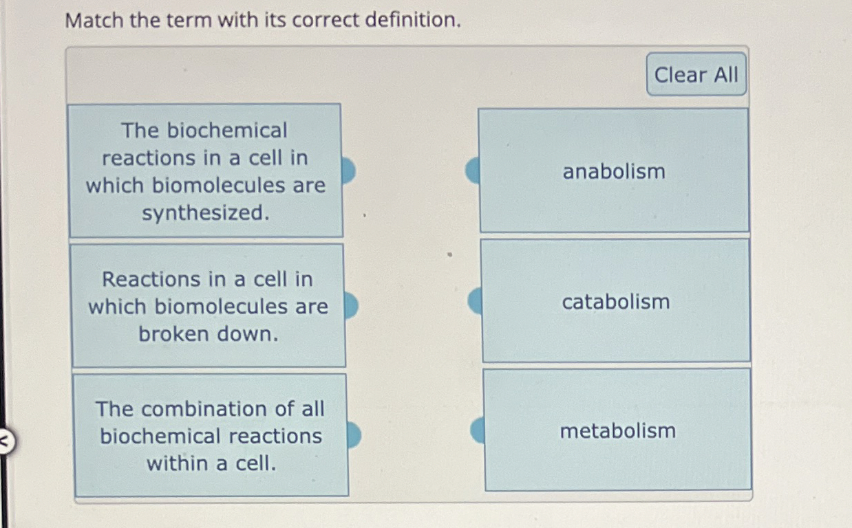 Solved Match the term with its correct definition.The | Chegg.com
