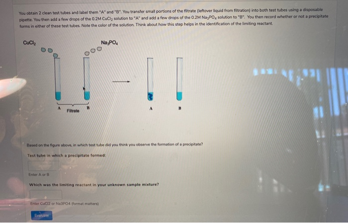 Solved You obtain 2 clean test tubes and label them "A" and | Chegg.com