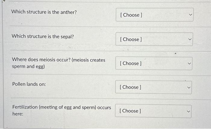 Solved Match the answers with the questions the diagram | Chegg.com