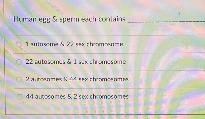 Solved Human egg & sperm each contains 1 autosome & 22 sex | Chegg.com