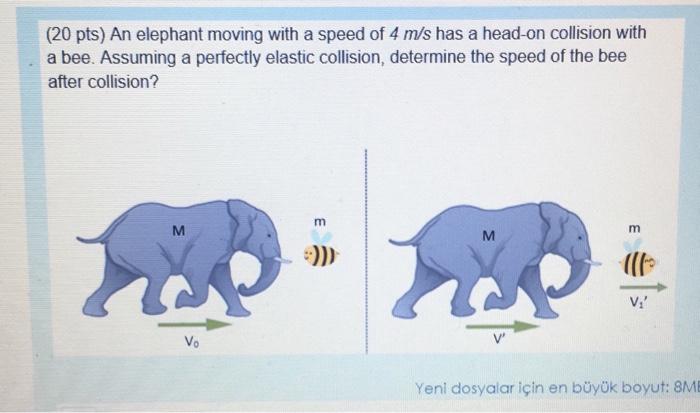 Solved (20 pts) An elephant moving with a speed of 4 m/s has | Chegg.com