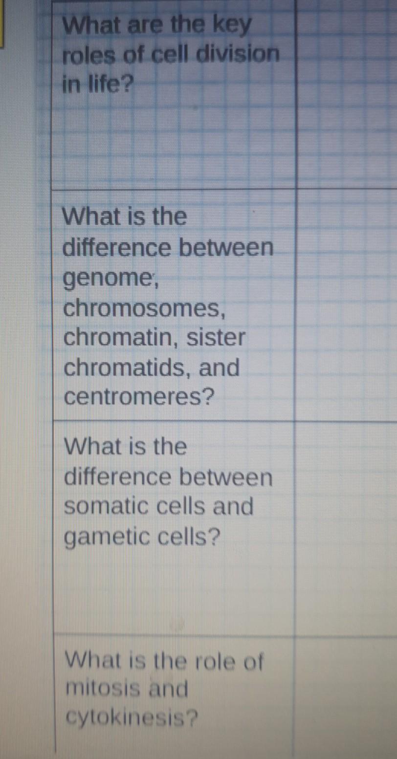 Solved What are the key roles of cell division in life? What | Chegg.com