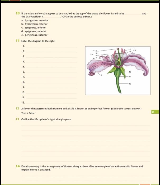 Solved 10 If the calyx and corolla appear to be attached at | Chegg.com