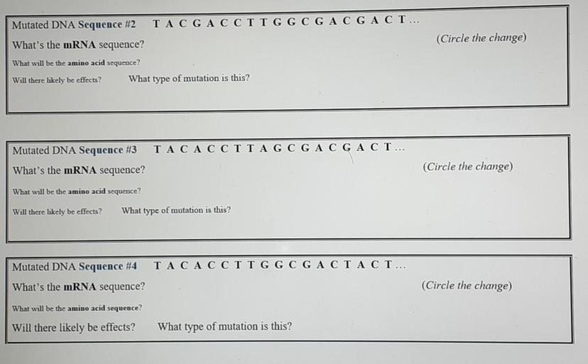 Solved (Circle the change) Mutated DNA Sequence #2 | Chegg.com