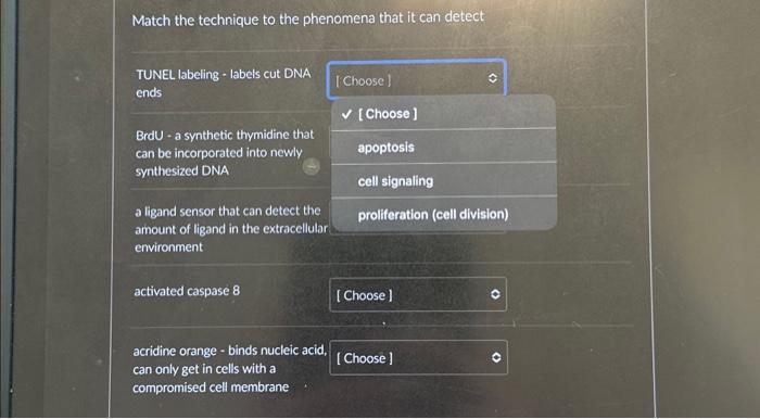 Solved Match the technique to the phenomena that it can | Chegg.com