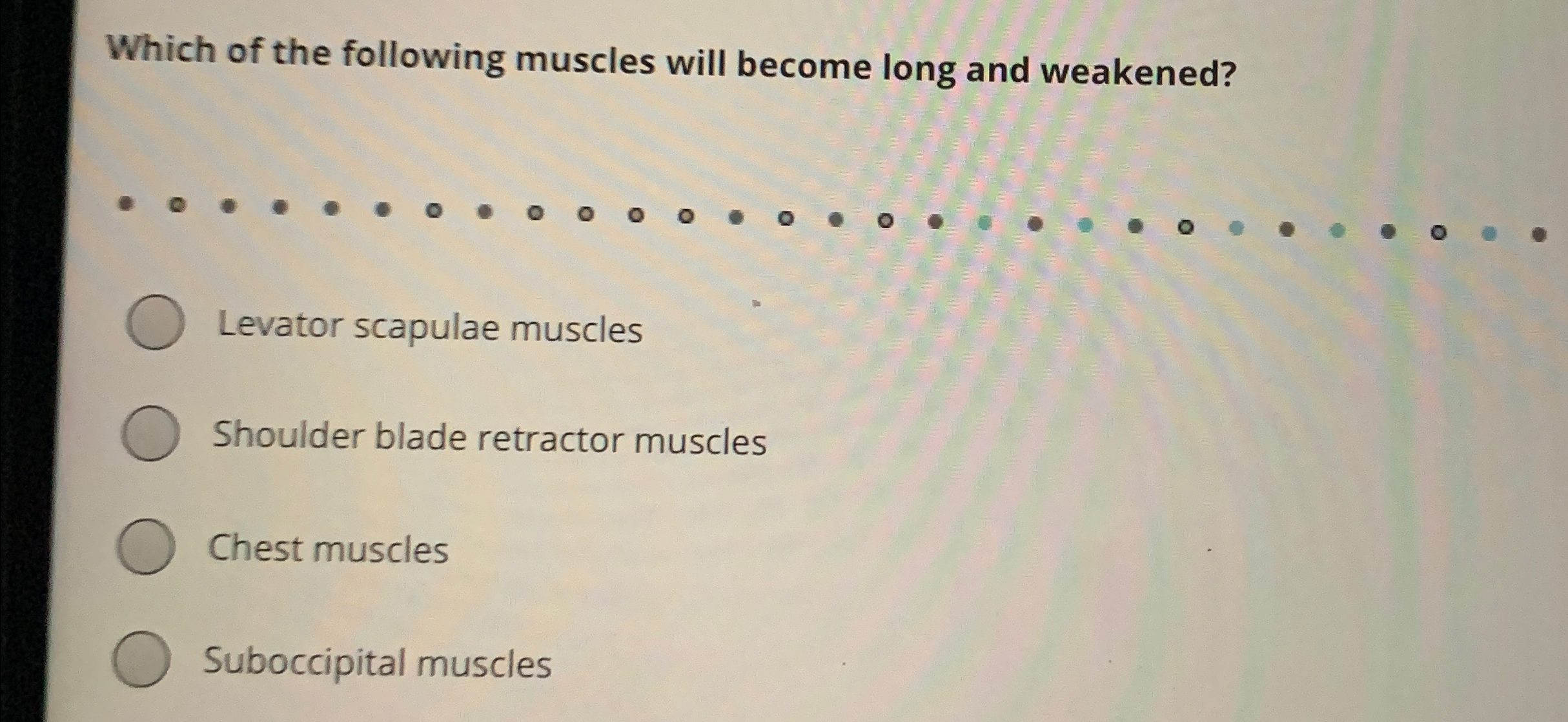 Solved Which of the following muscles will become long and | Chegg.com