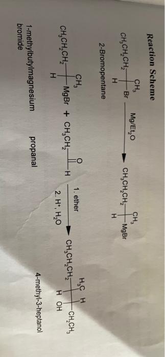 Solved draw and explain the mechanism for | Chegg.com